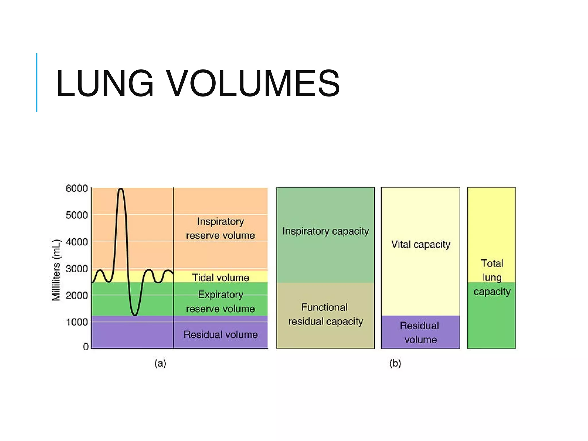 Basics of Mechanical Ventilation | PPT