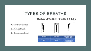 Basics of mechanical ventilation | PPTX
