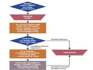 basics of MIBC muscle invasive bladder carcinoma .pptx
