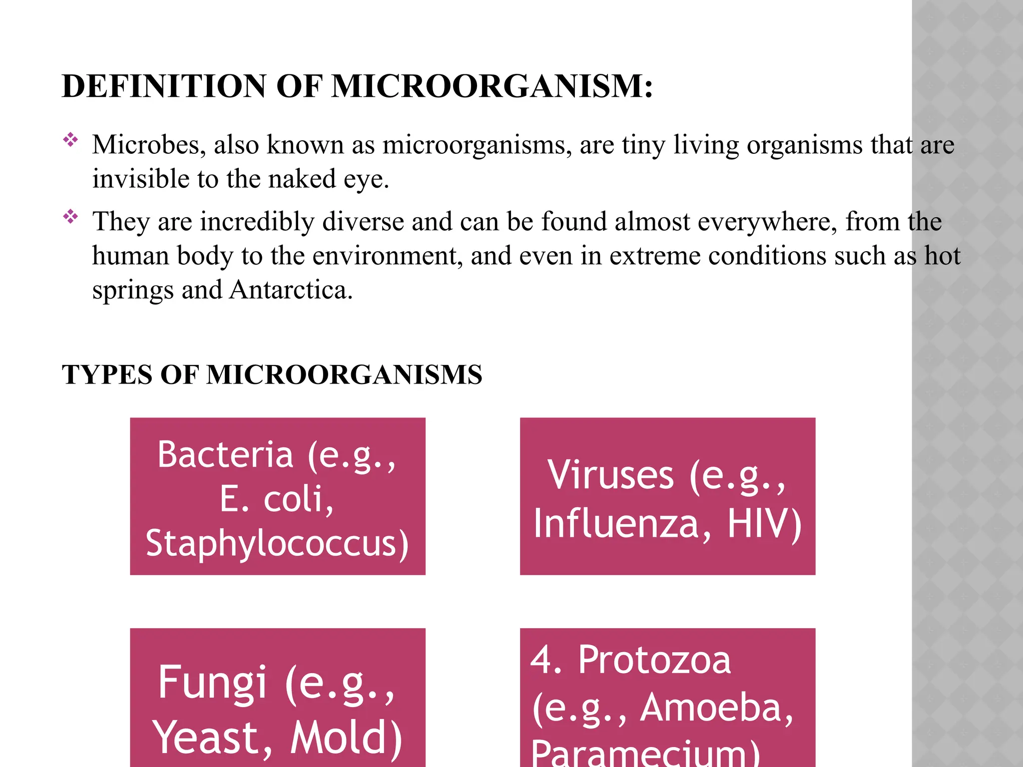 Basics of microbiology-types,history etc | PPT