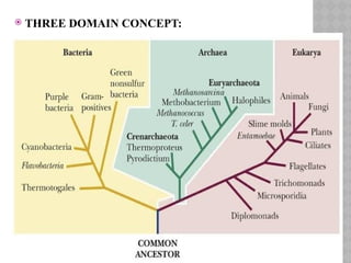 Basics of microbiology-types,history etc | PPT