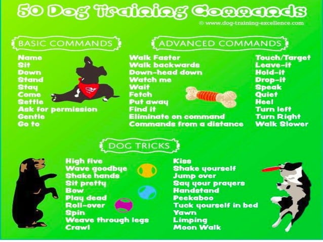 Basics of microcontroller | PDF | Programming Languages | Computing