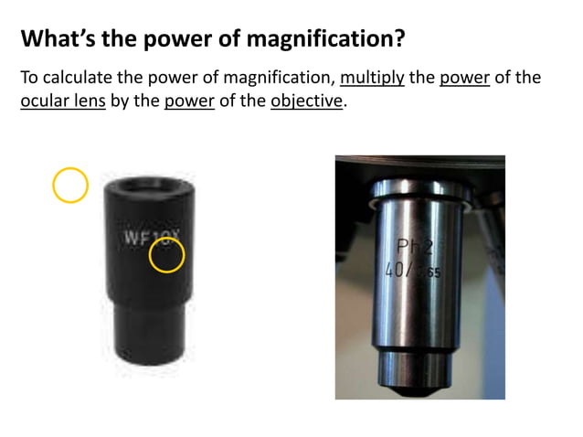 Basics of microscopy | PPT