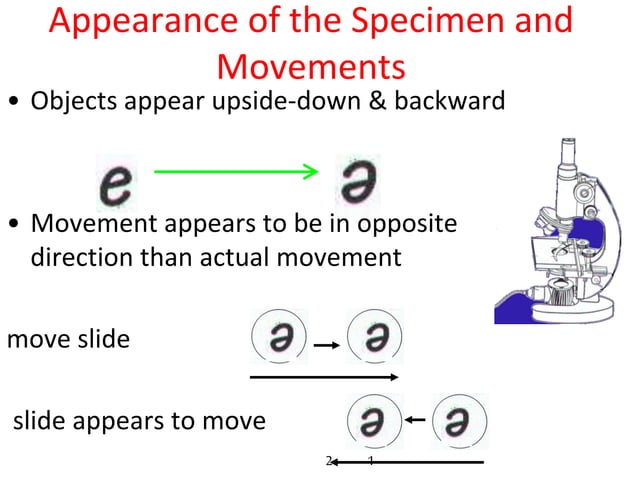 Basics of microscopy | PPT