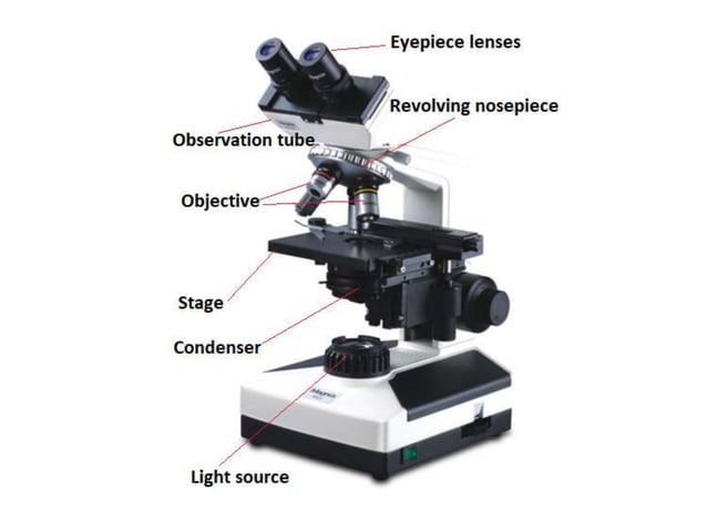 Basics of microscopy | PPT