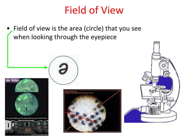 Basics of microscopy | PPT
