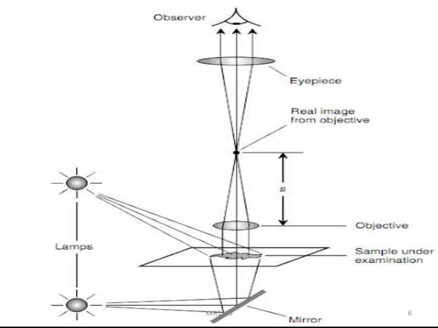 Basics of microscopy | PPT