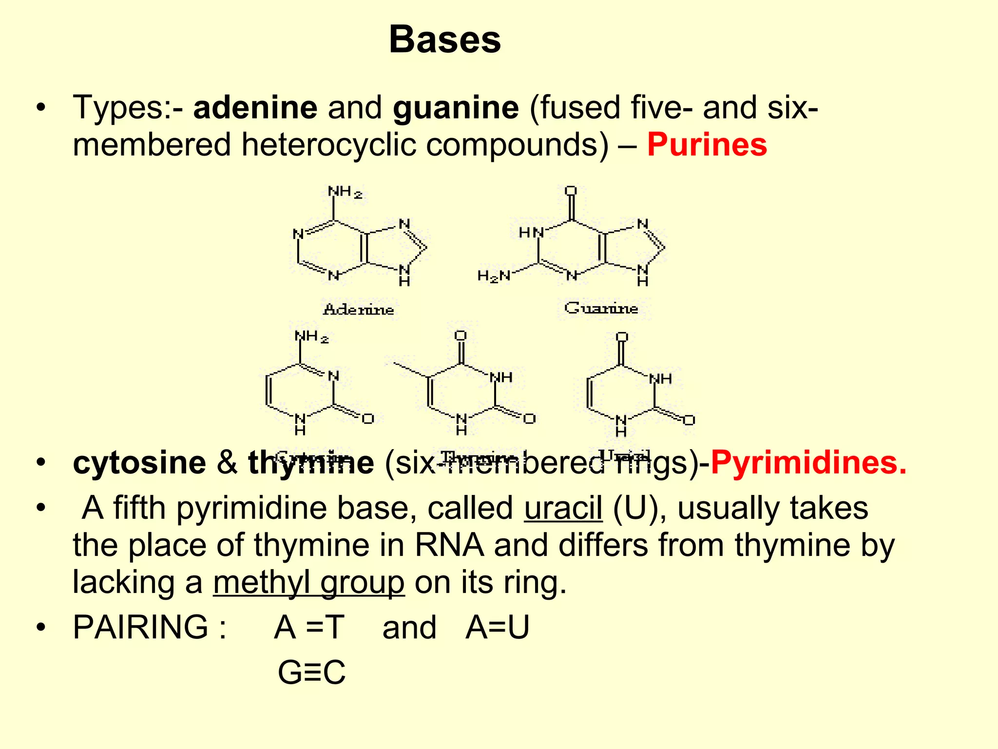 Basics of molecular biology | PDF