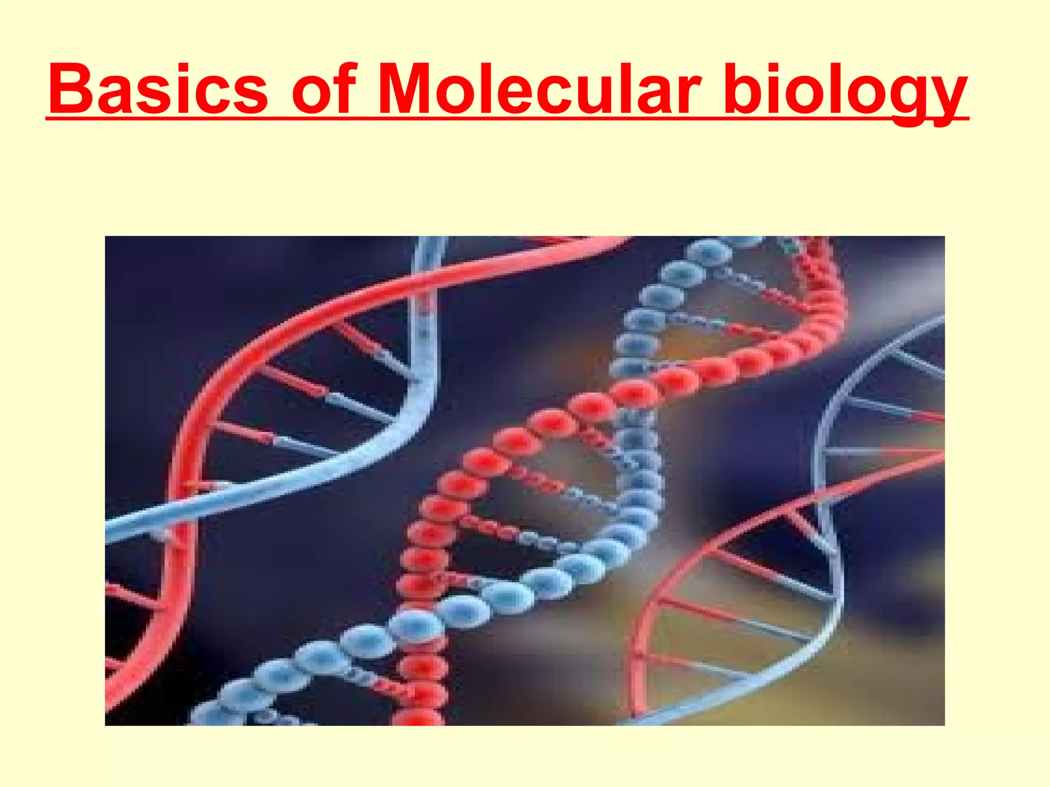 BASICS OF MOLECULAR BIOLOGY | PPT