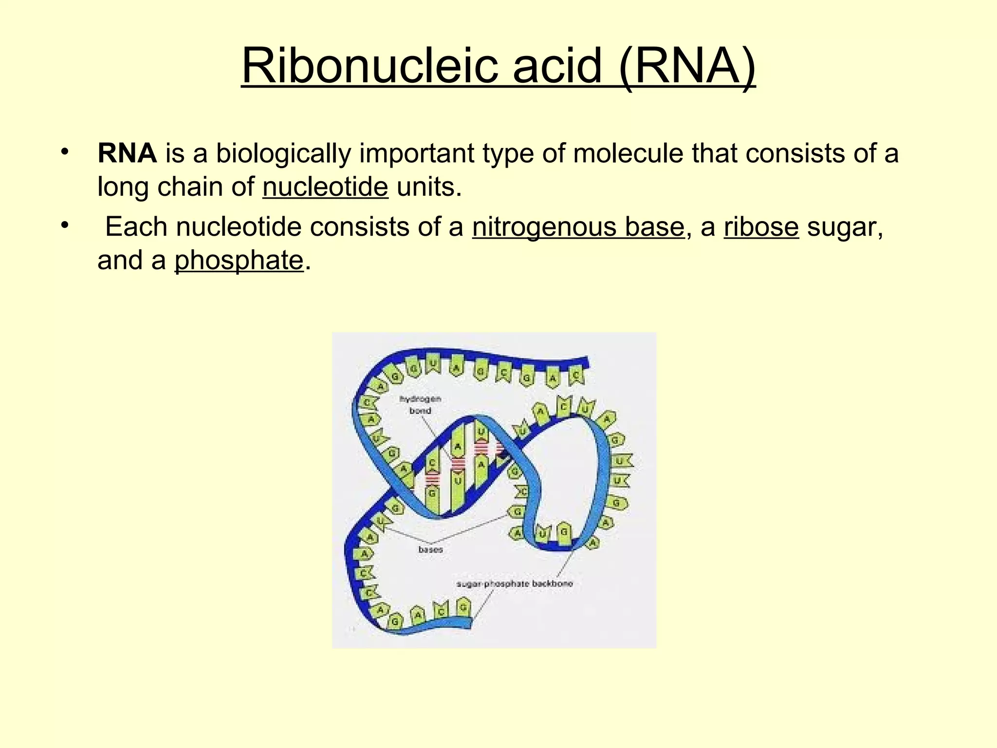 BASICS OF MOLECULAR BIOLOGY | PPT