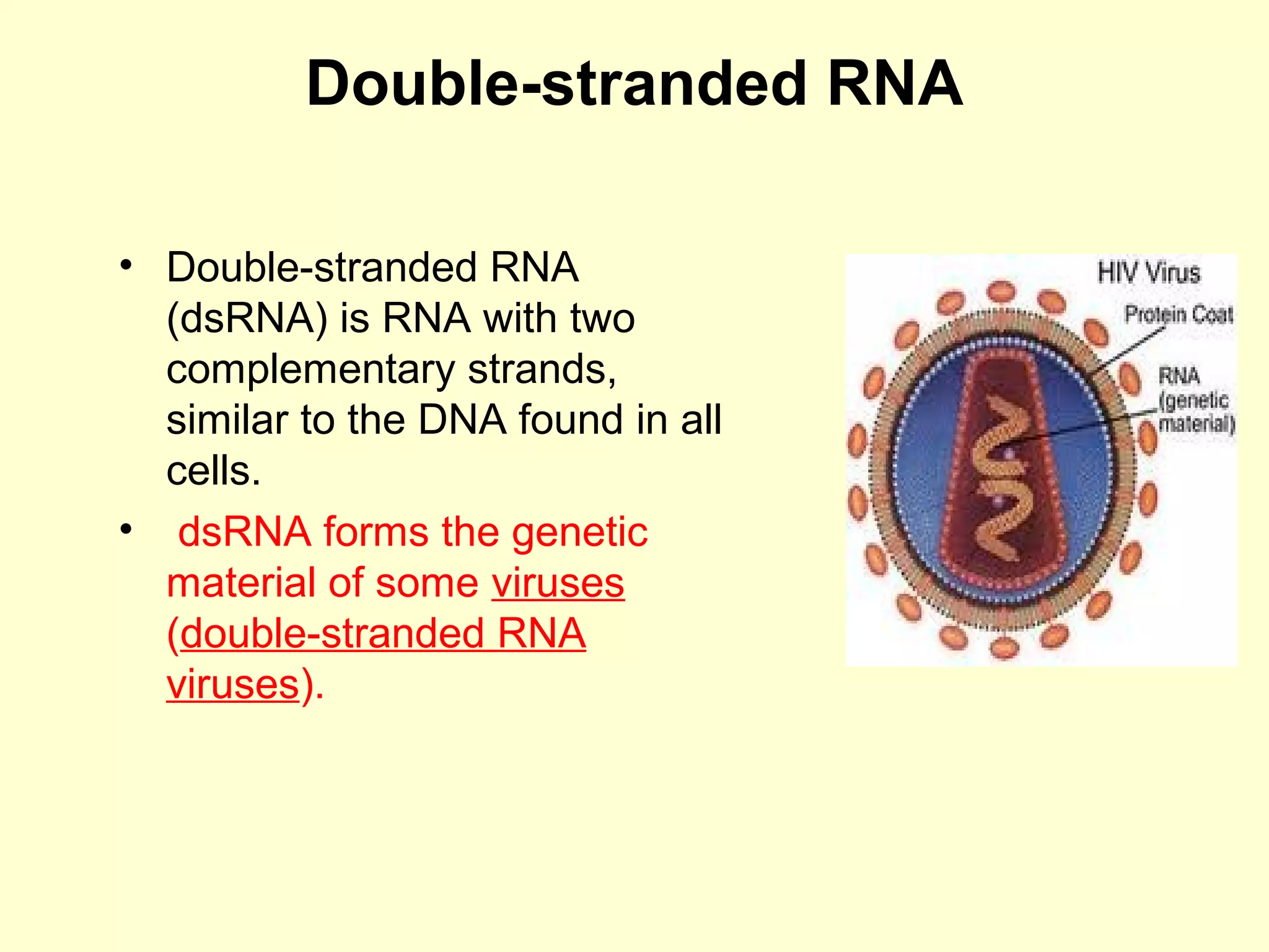 BASICS OF MOLECULAR BIOLOGY | PPT