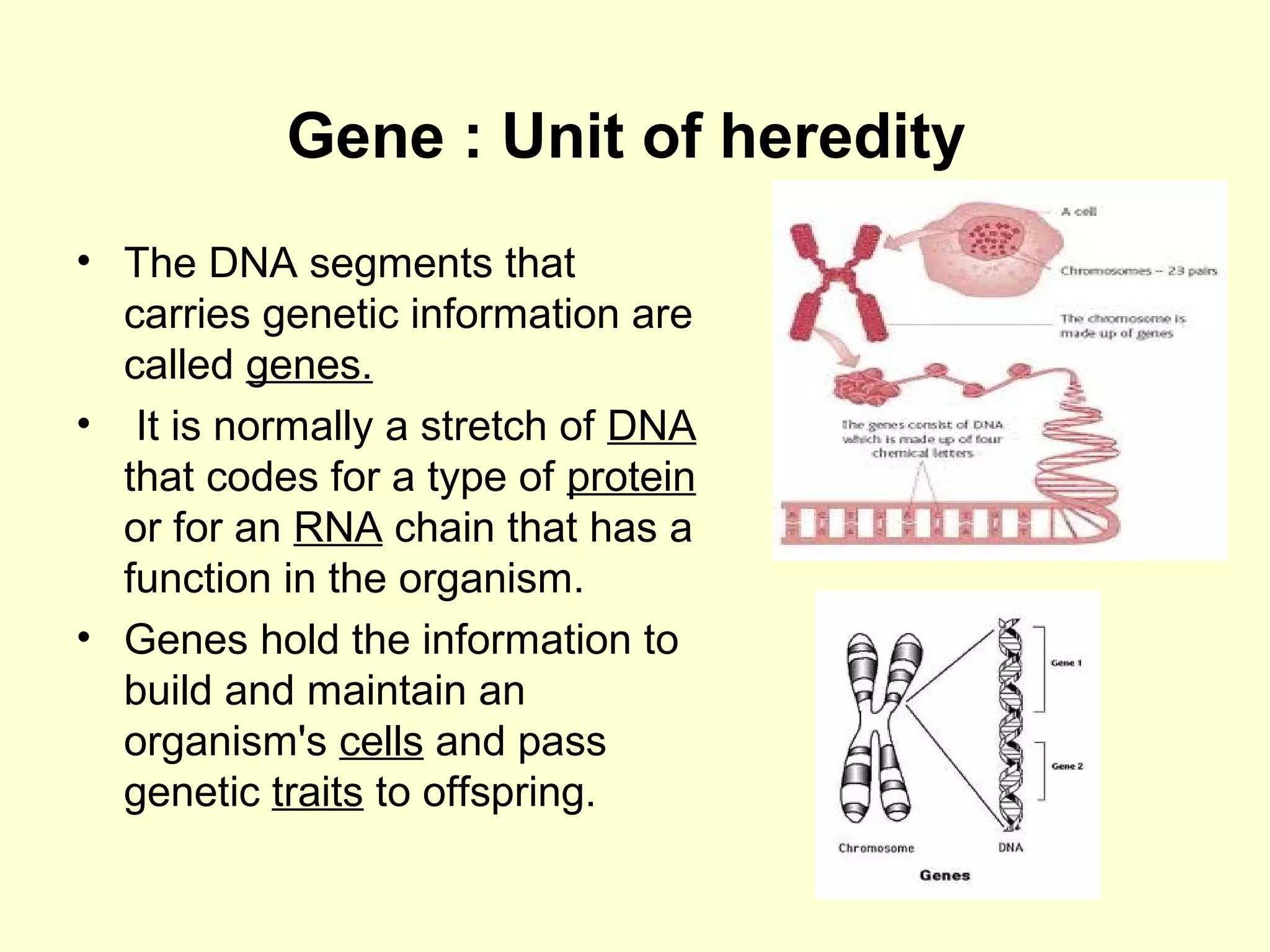 BASICS OF MOLECULAR BIOLOGY | PPT