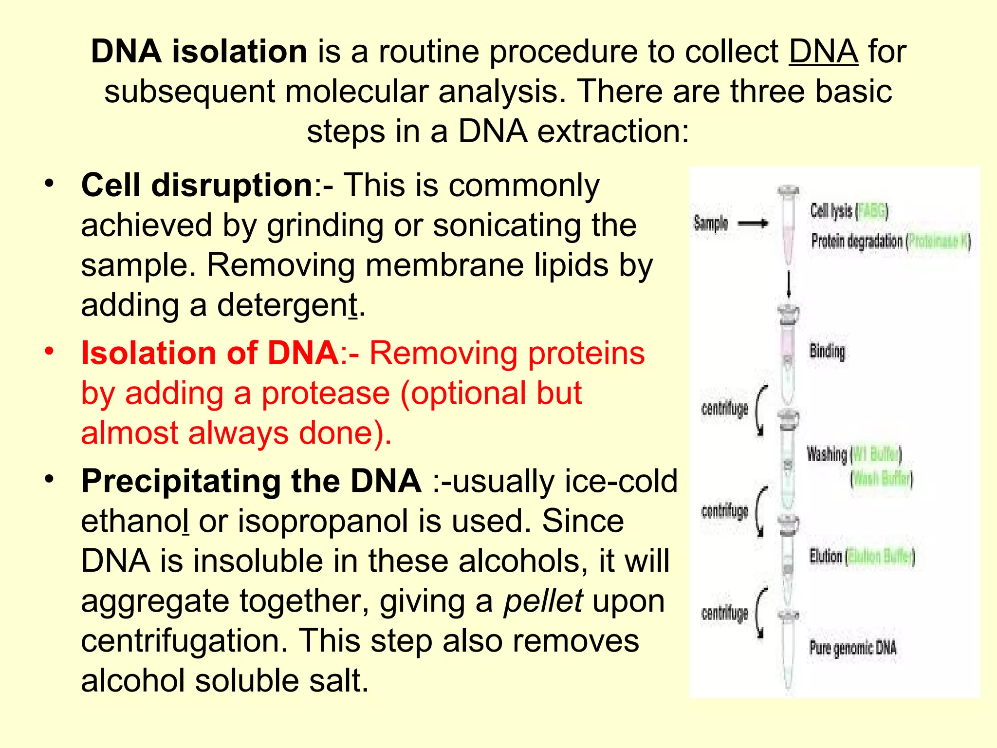 BASICS OF MOLECULAR BIOLOGY | PPT