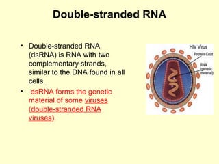 BASICS OF MOLECULAR BIOLOGY | PPT