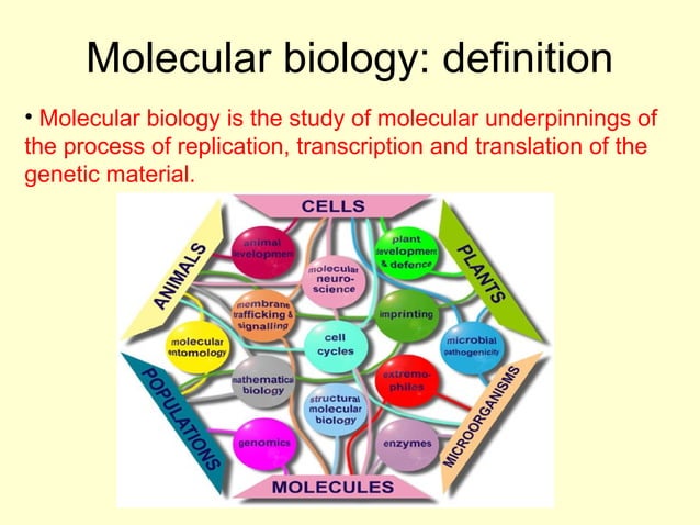 BASICS OF MOLECULAR BIOLOGY | PPT | Biological Sciences | Science