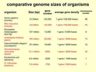 BASICS OF MOLECULAR BIOLOGY | PPT