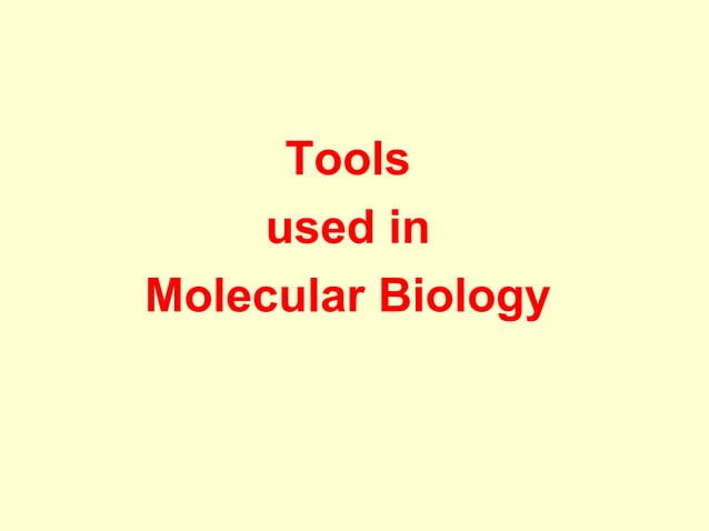 BASICS OF MOLECULAR BIOLOGY | PPT | Biological Sciences | Science