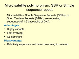 BASICS OF MOLECULAR BIOLOGY | PPT
