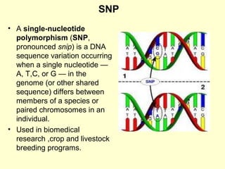 BASICS OF MOLECULAR BIOLOGY | PPT