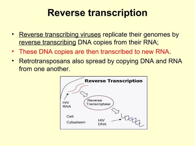BASICS OF MOLECULAR BIOLOGY