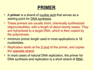 Basics of Molecular Biology | PPT