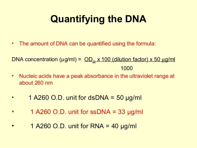 Basics of Molecular Biology