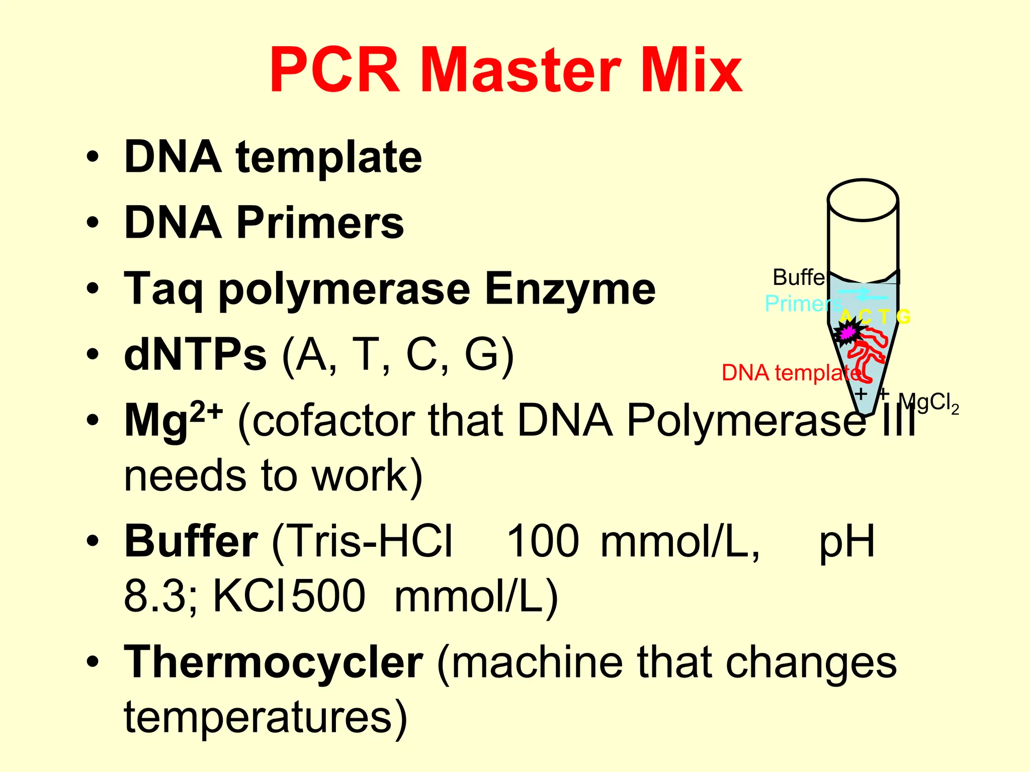 Basics of Molecular Biology.ppt