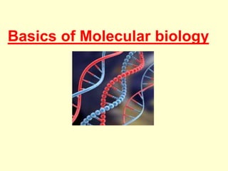 Basics of Molecular Biology.ppt