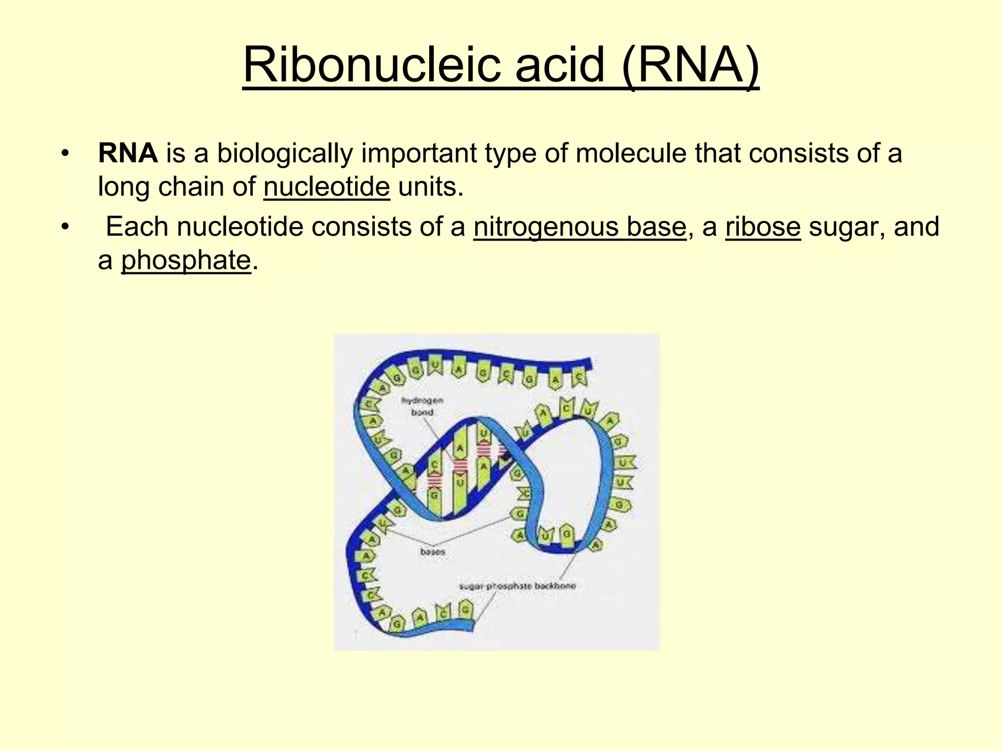 Basics of molecular biology tools and techniques | PPT