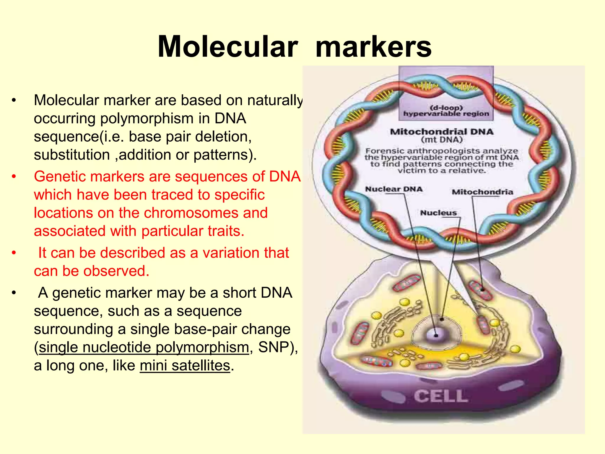 Basics of molecular biology tools and techniques | PPT