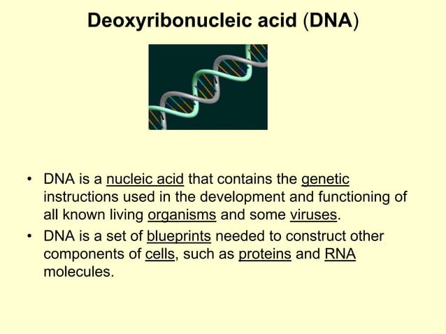 Basics of molecular biology tools and techniques | PPT