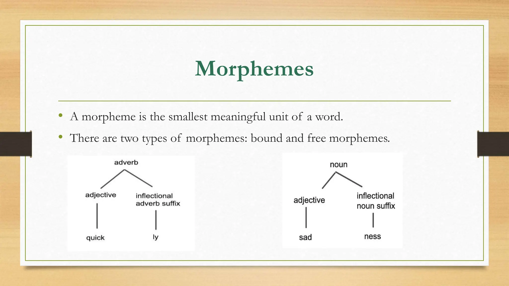 Basics of Morphology.pptx
