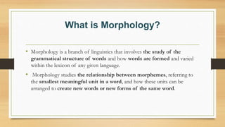 Basics of Morphology.pptx