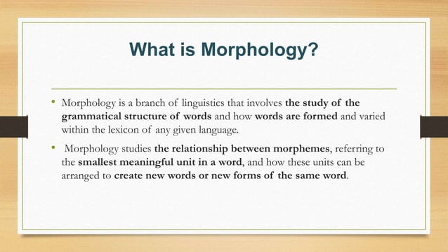 Basics of Morphology.pptx