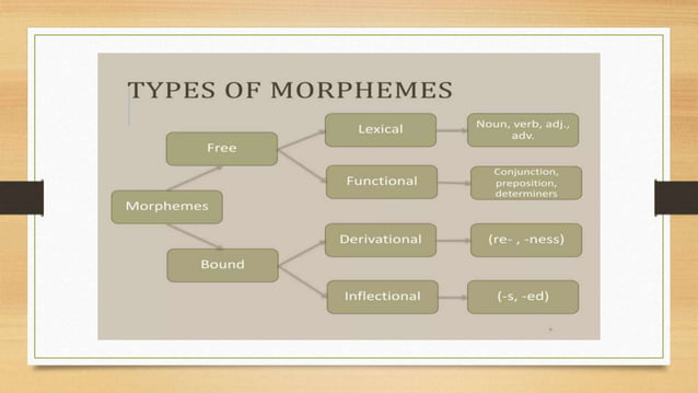 Basics of Morphology.pptx