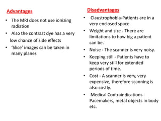 Basics of mri | PPTX