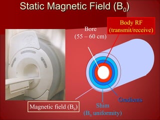 Basics of mri lecture 1 | PPT