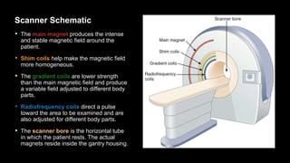 Basics of MRI interpretation; December 2022.pptx