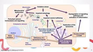 Basics of Mucopolysaccharidosis (MPS) | PPTX