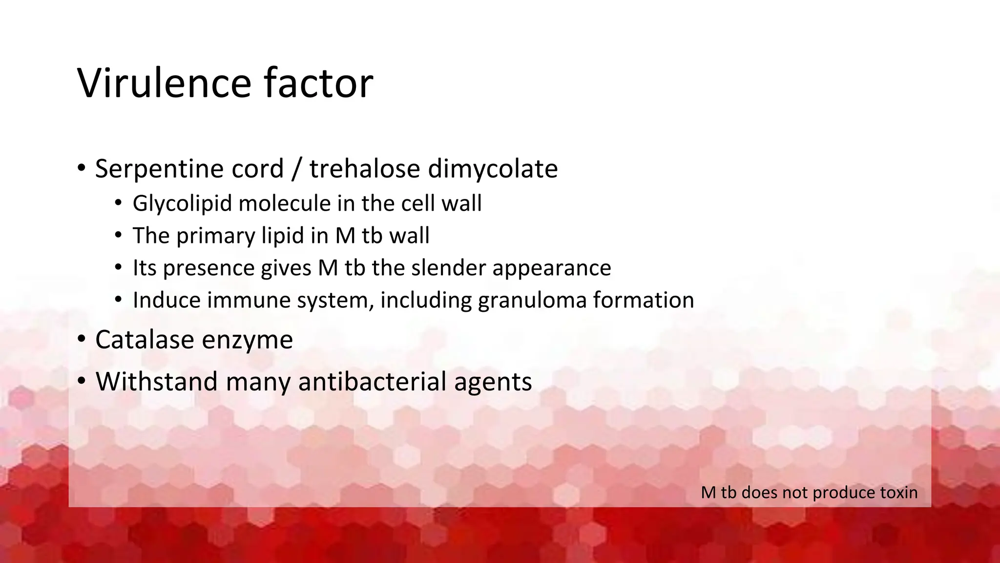 Basics of Mycobacterium spp for student.pptx