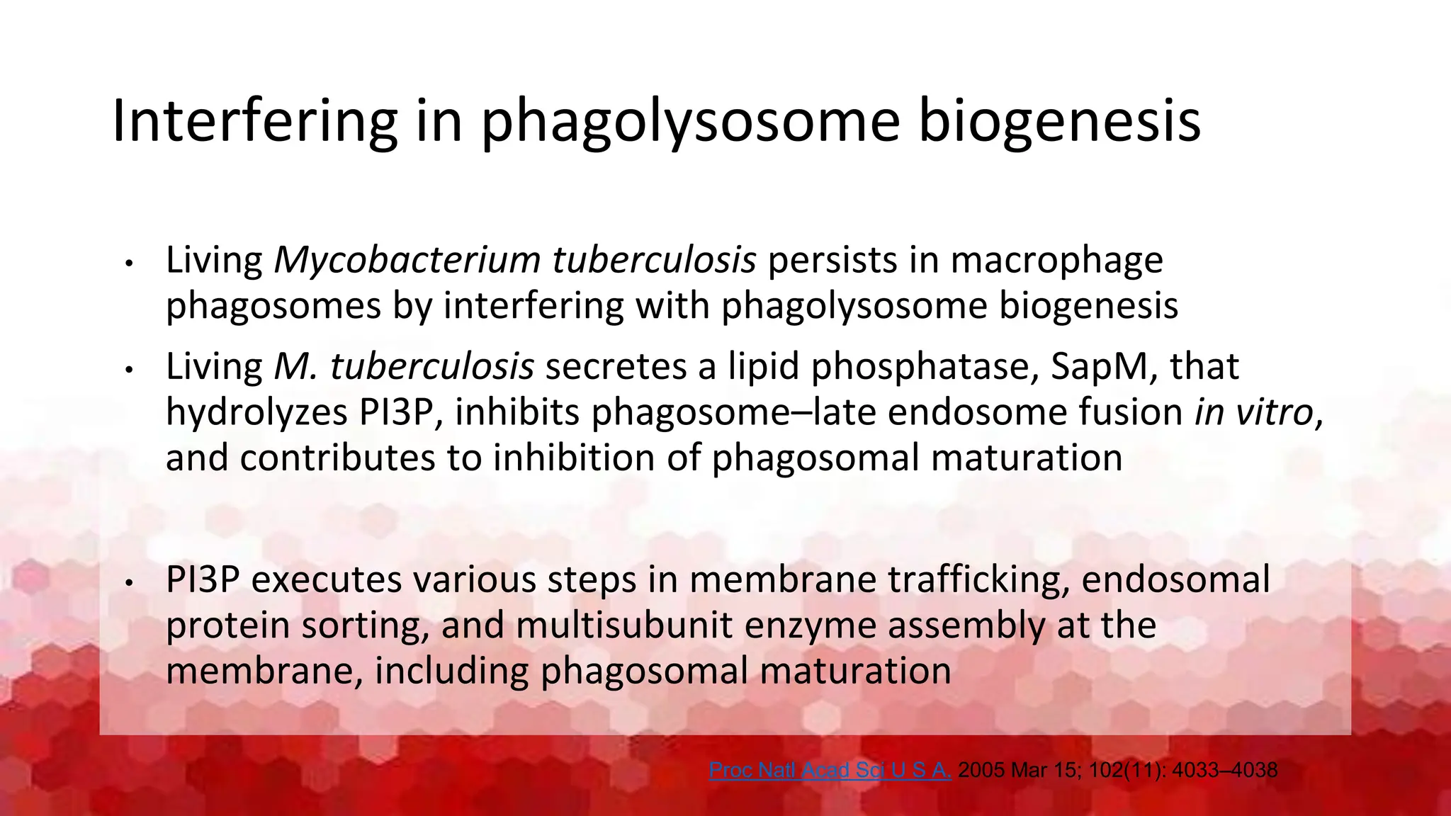 Basics of Mycobacterium spp for student.pptx