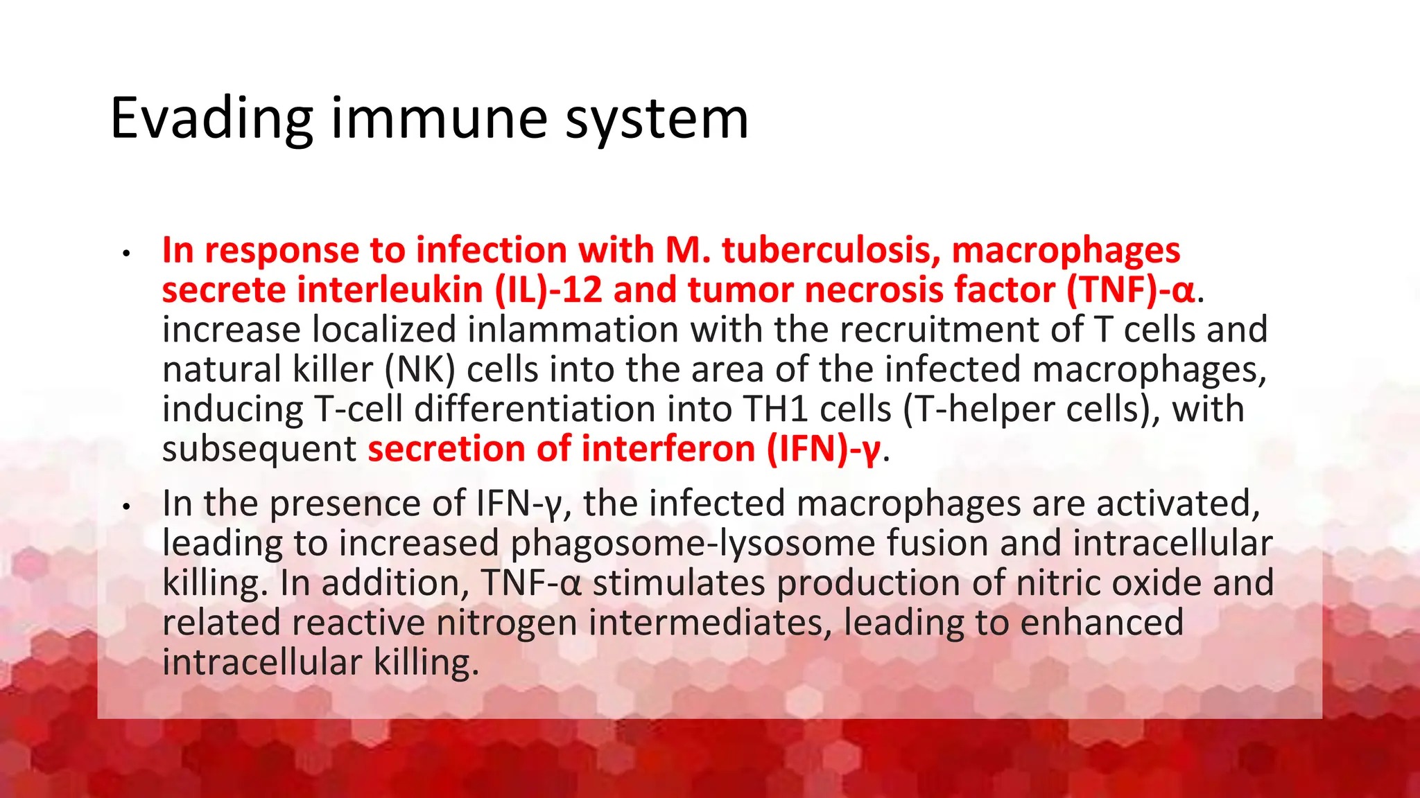 Basics of Mycobacterium spp for student.pptx