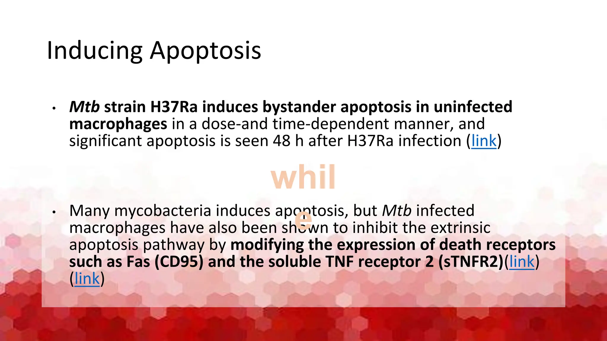 Basics of Mycobacterium spp for student.pptx
