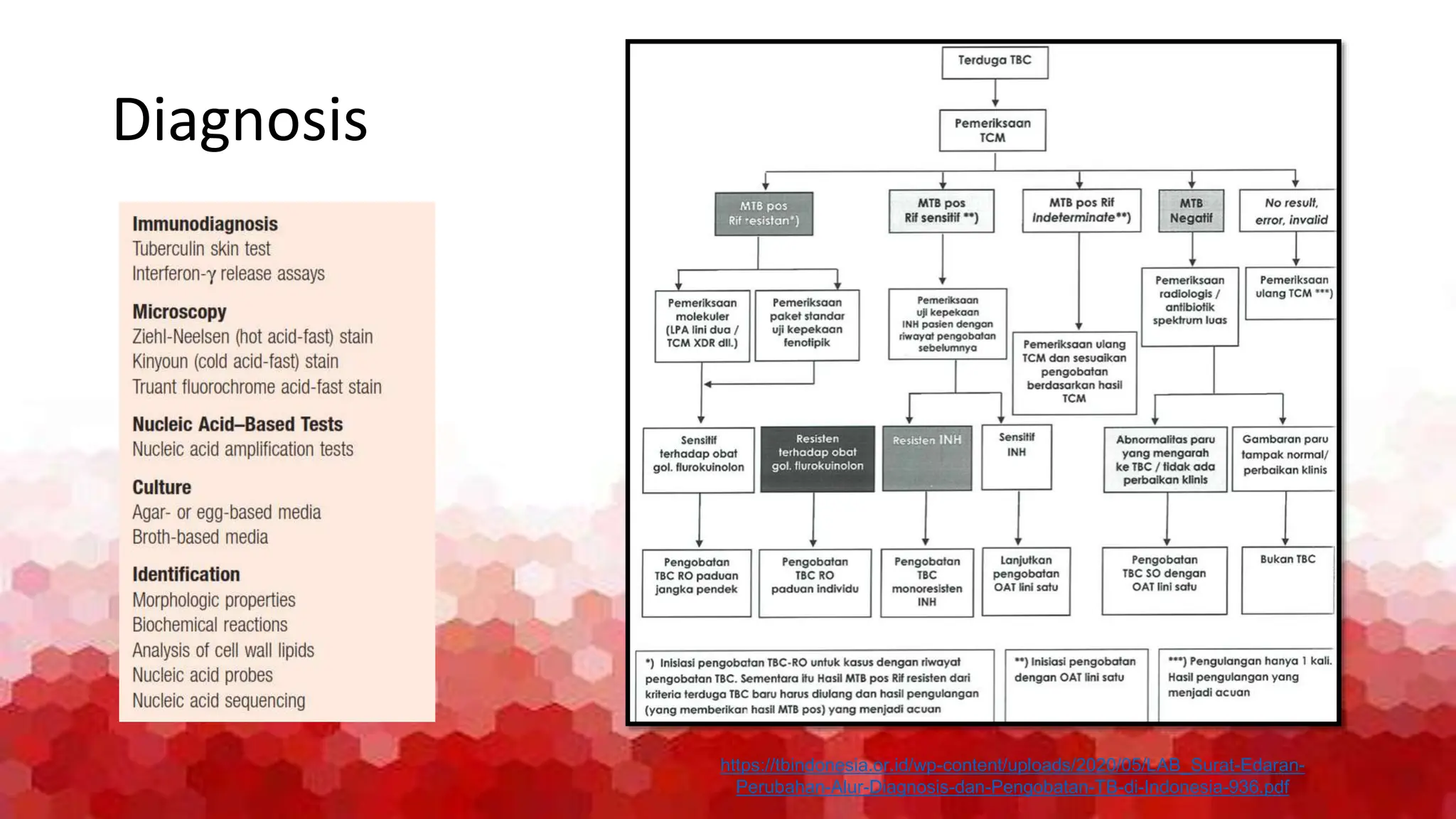 Basics of Mycobacterium spp for student.pptx