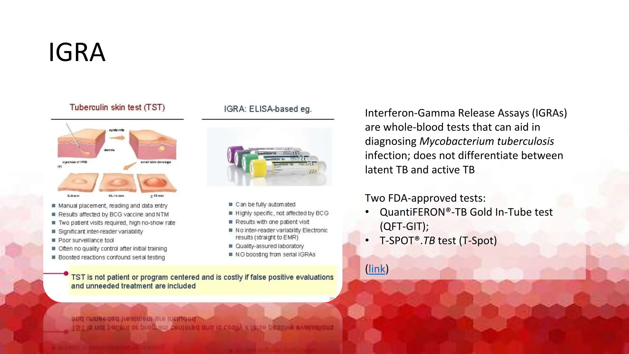 Basics of Mycobacterium spp for student.pptx