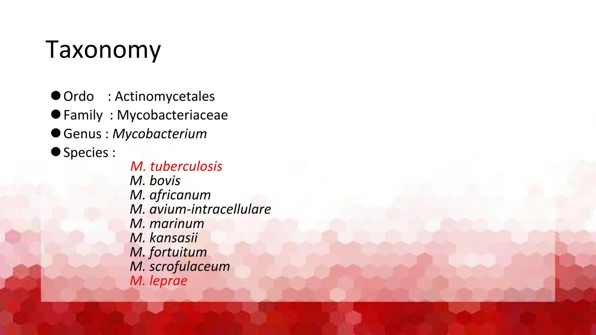 Basics of Mycobacterium spp for student.pptx