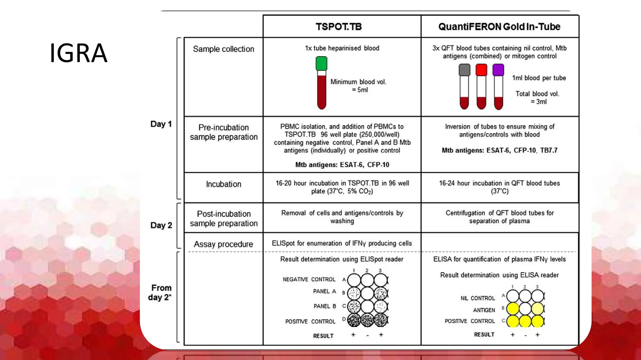 Basics of Mycobacterium spp for student.pptx