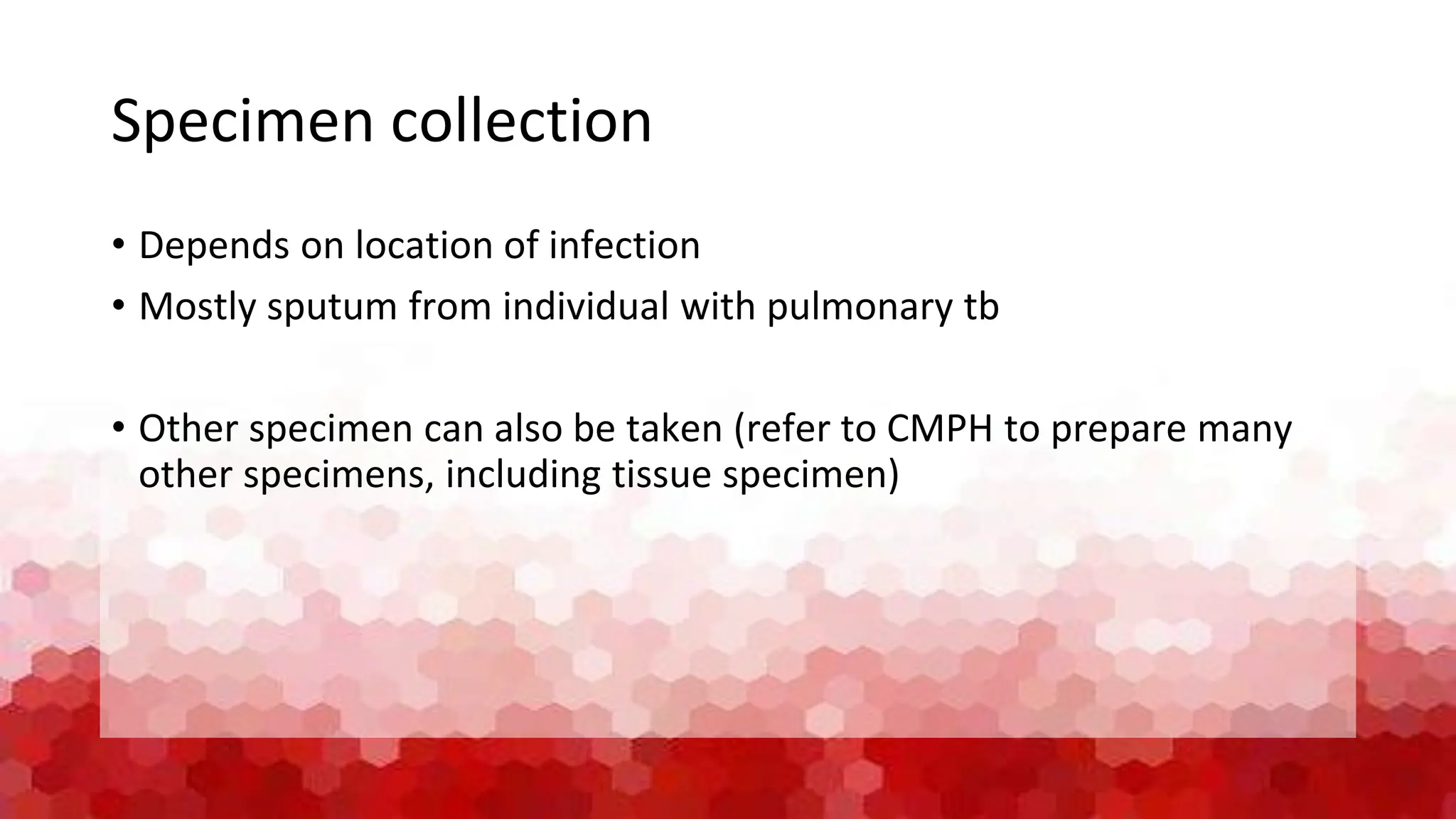 Basics of Mycobacterium spp for student.pptx