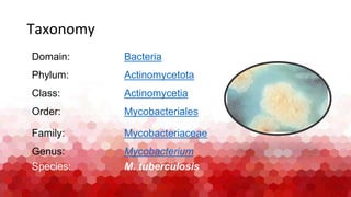 Basics of Mycobacterium spp for student.pptx