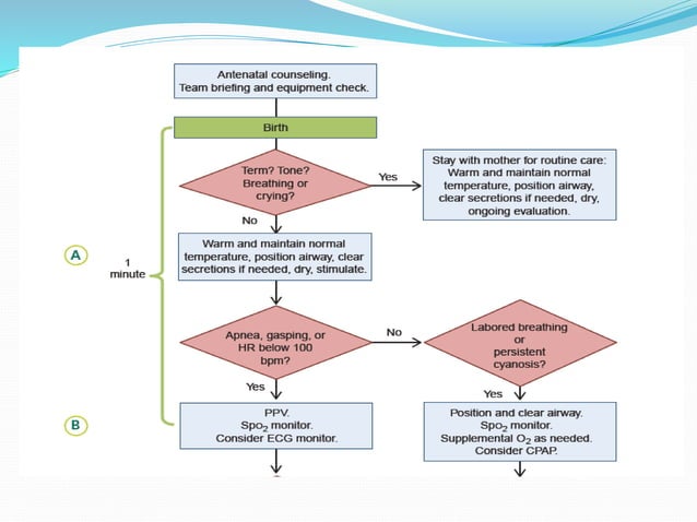 Basics of neonatal resuscitation BY DR.PRITESH PATEL